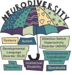Understanding Neurodiversity - Therapy Focus